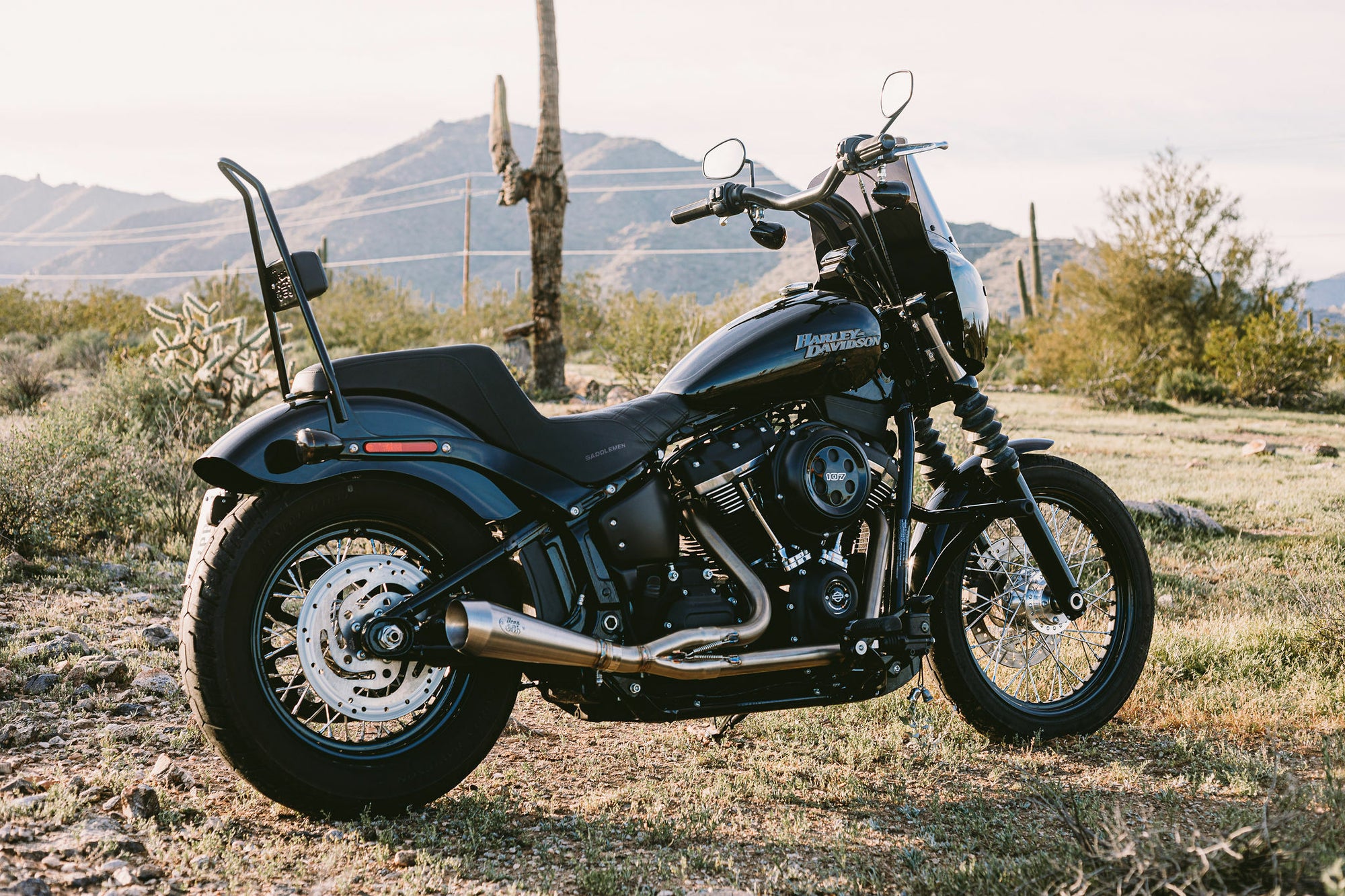 M8 Softail – DeanSpeed